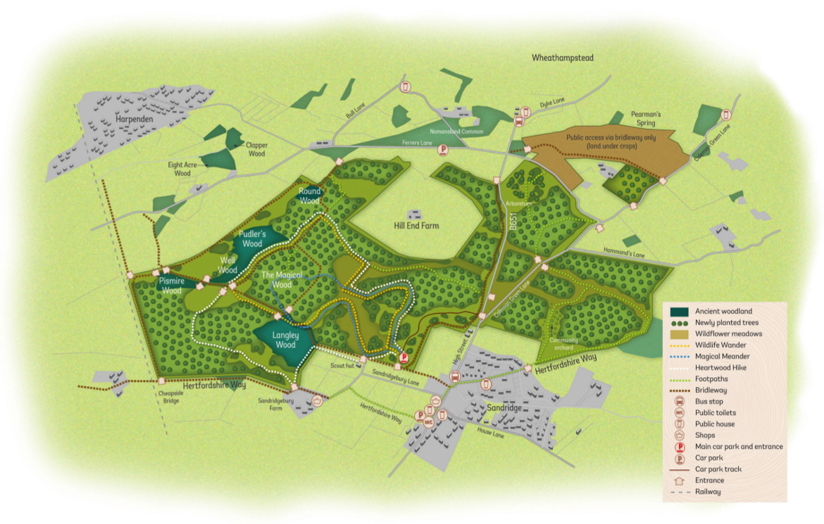 Walking at Heartwood Forest | The Woodland Trust